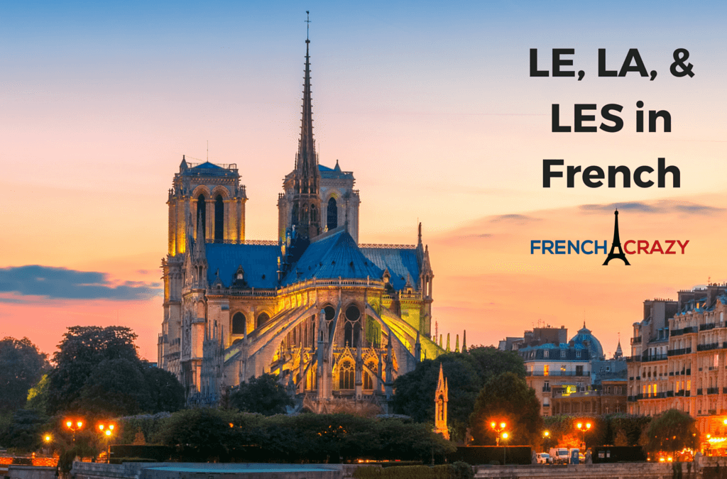 Difference Between L Le And La In French At Jason Quinn Blog